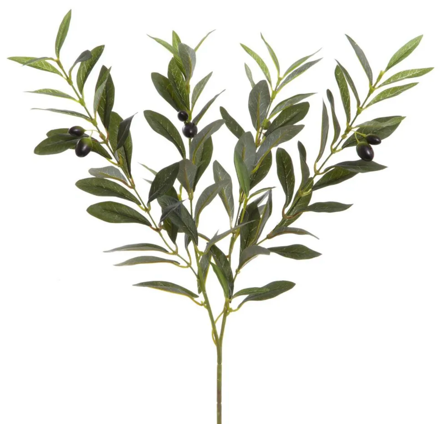 Suraya Rugs Ivory/Burnt Orange 2301 – Bungalow Interiors